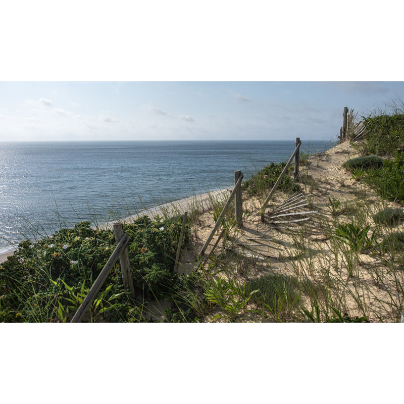 Marconi Fences – Left Bank Gallery