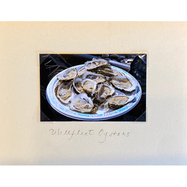 Wellfleet Oyster cards - boxed set of 6 – Left Bank Gallery
